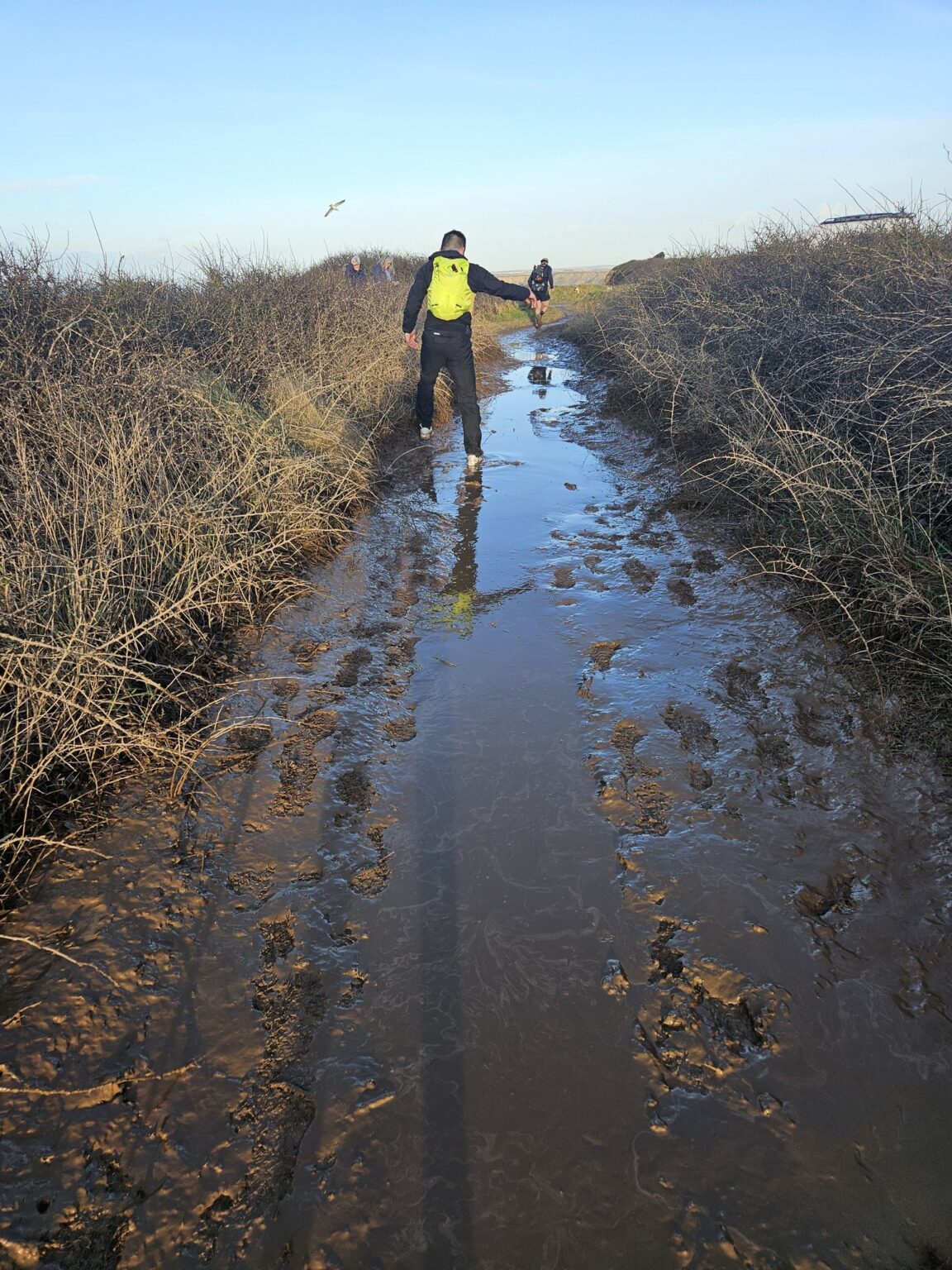 Arc of Attrition 100: Conquering Cornwall’s Coastal Beast – One Stop Ultra
